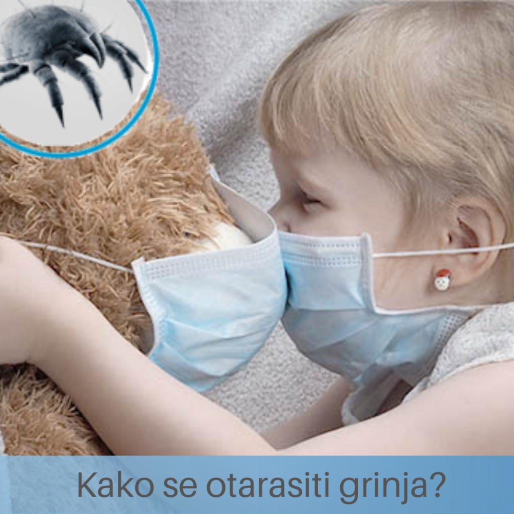 Kako se otarasiti grinja? - Alergija i ja