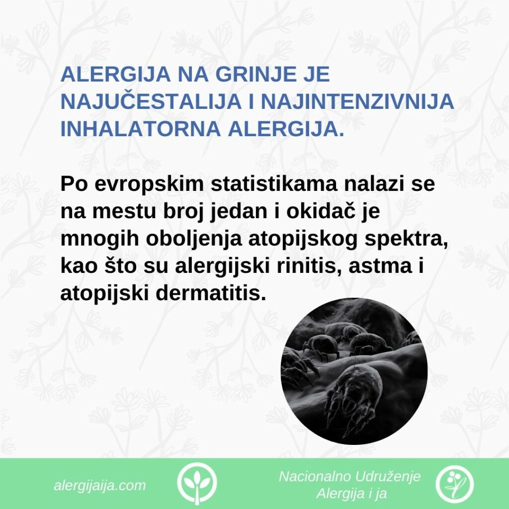 Prepoznajte simptome alergije na grinje i otarasite se ovog parazita uz ...